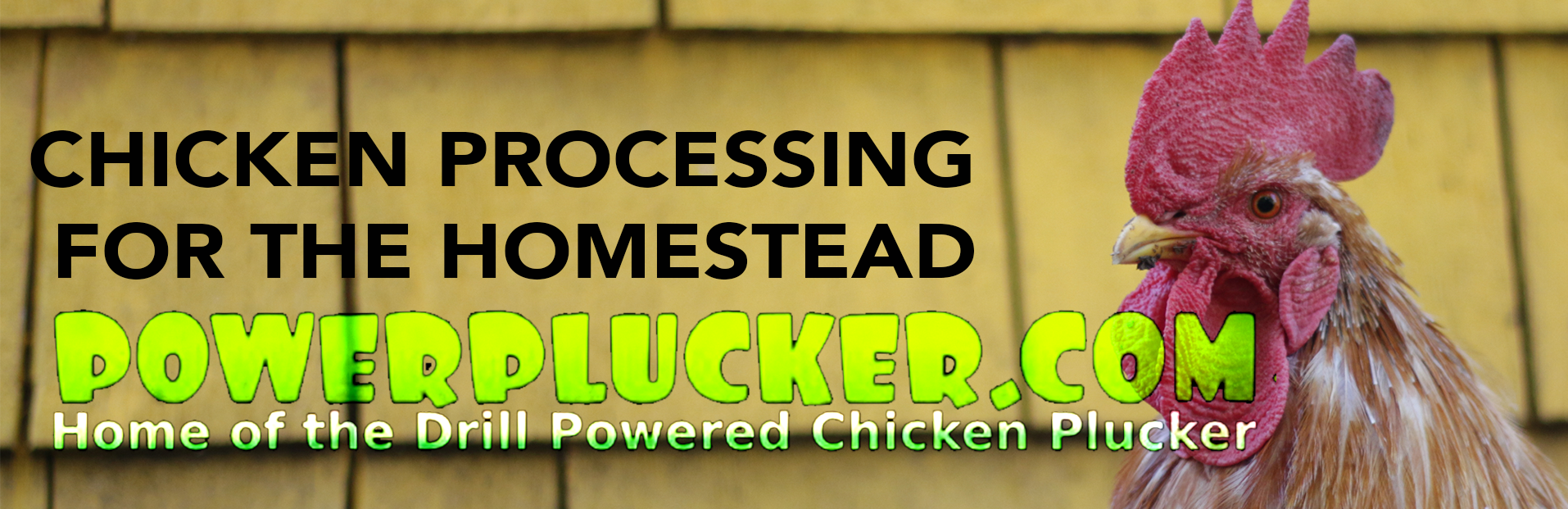 Power Plucker - Homesteady