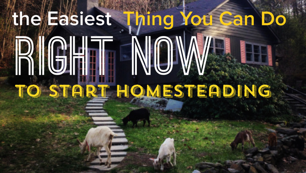 The Easiest Thing You Can do RIGHT NOW to Start Your Homesteading Life ...