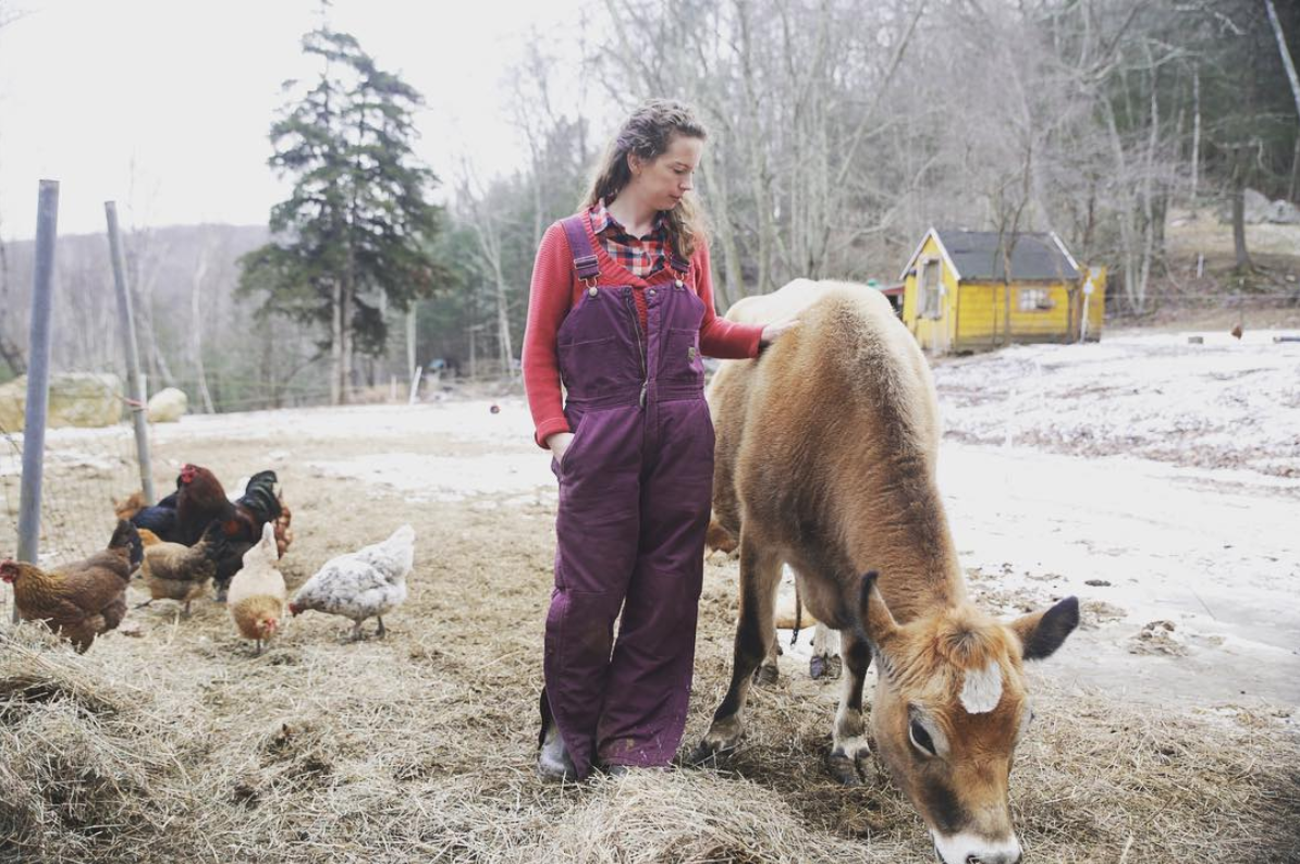 SO You Want To Raise Cows? - Homesteady