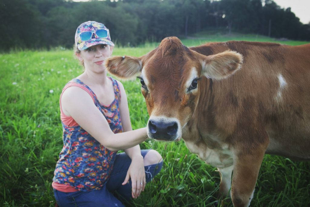 How To Choose a Bull for Breeding My Family Cow To - Homesteady