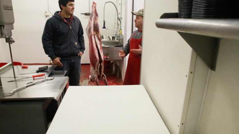 7 Simple Tools Every Do It Yourself Butcher Needs - Butchering ...