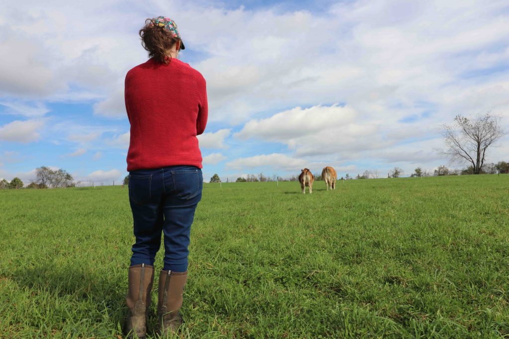 2 Farm Animals that PRODUCE MORE FOOD Than ANY OTHER - Homesteady