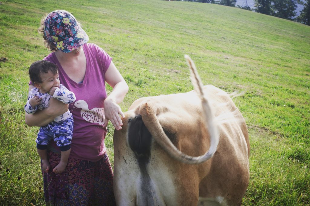 The Early Signs of Calving - Homesteady
