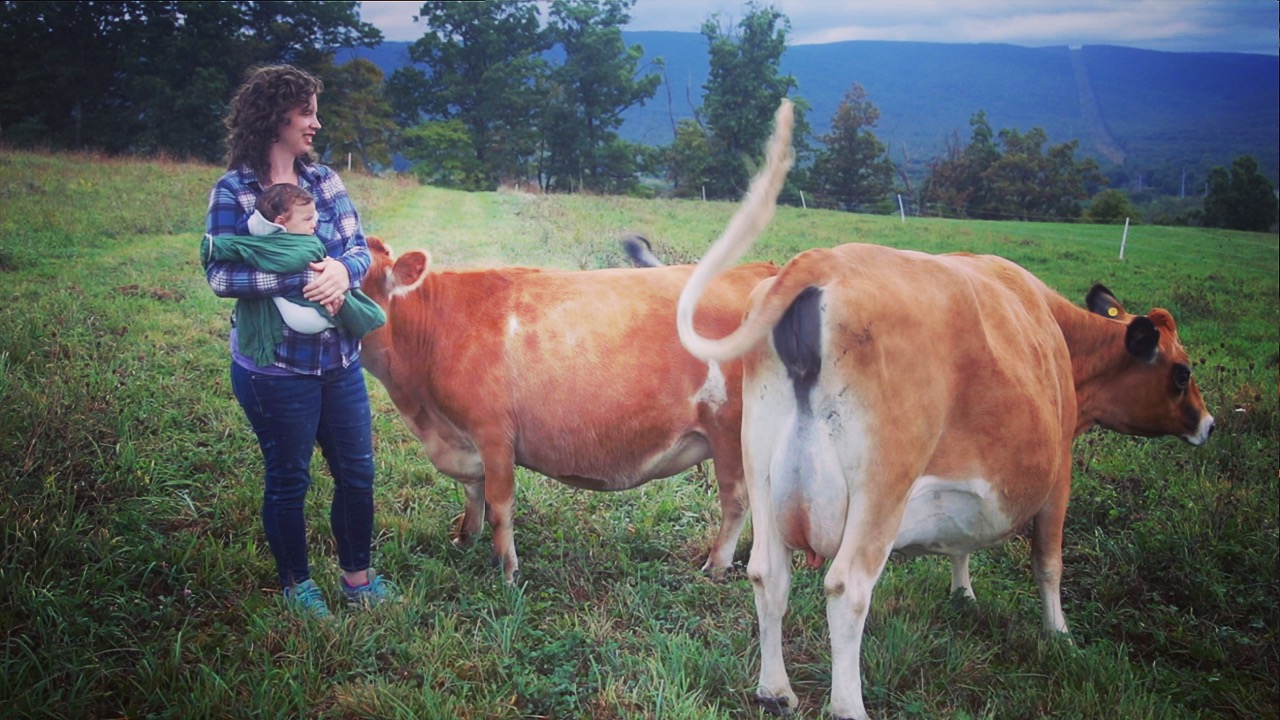 Our Cow Calved On This Day... Will History Repeat? - Homesteady