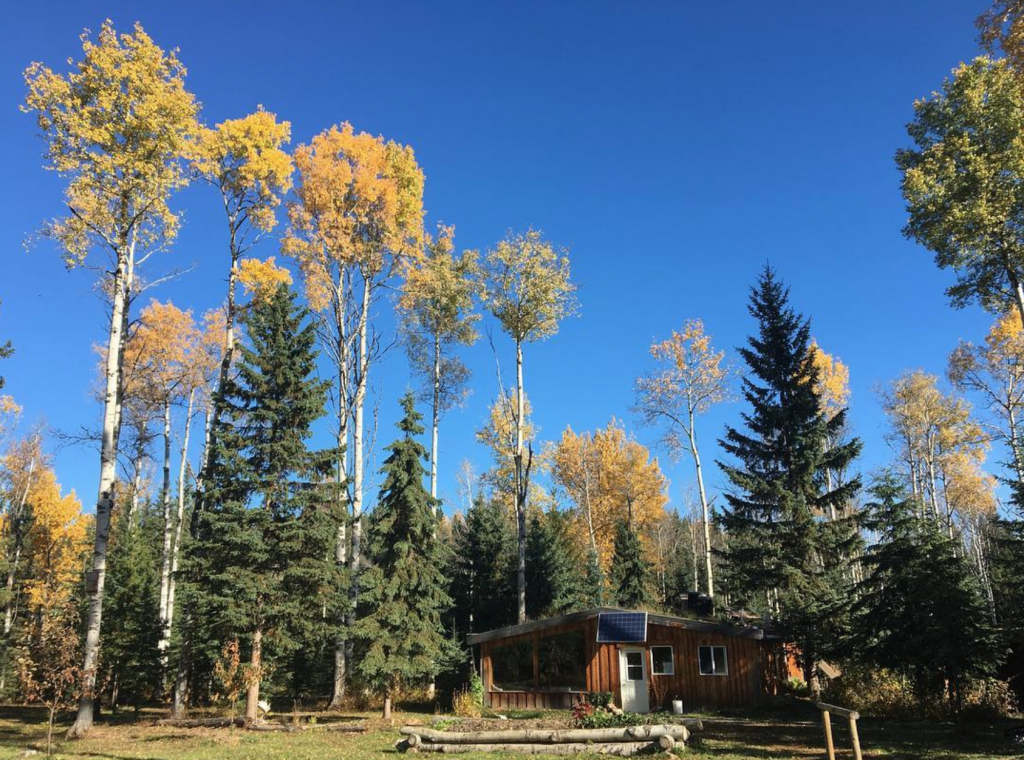 How a Big Family Can Live DEBT FREE OFF GRID! - Homesteady