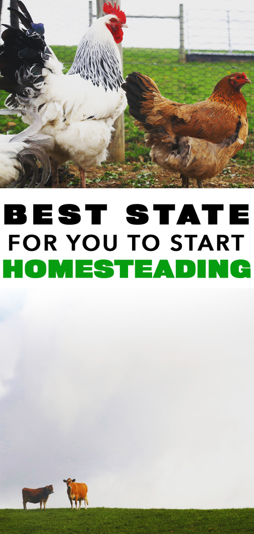 What is the Best State to Homestead In? - Homesteady