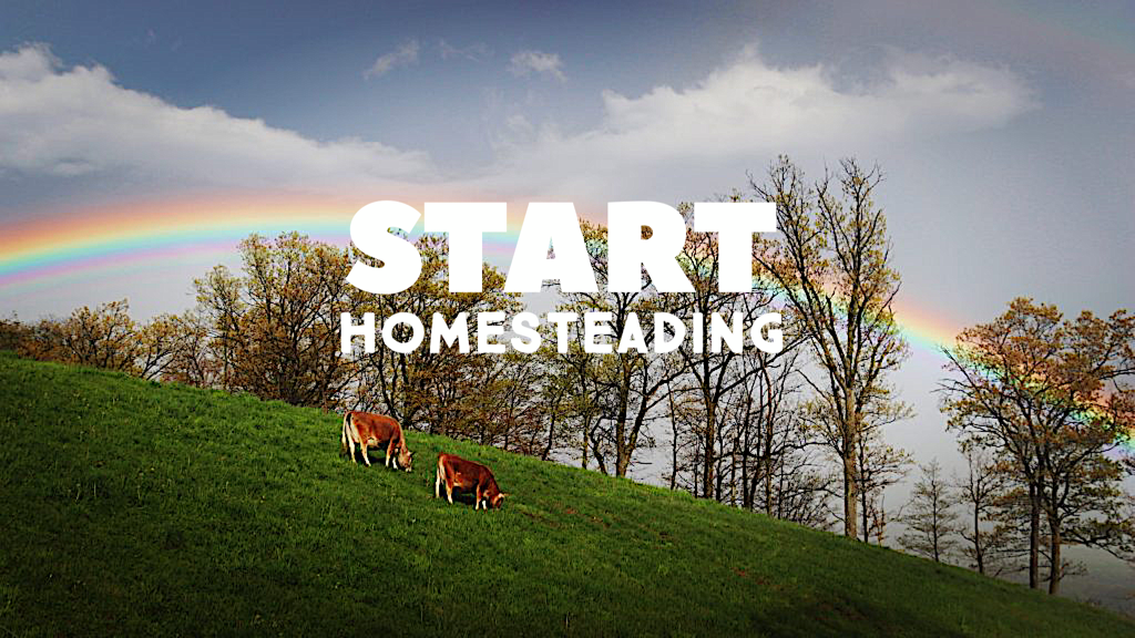 Start Homesteading Today - Homesteady